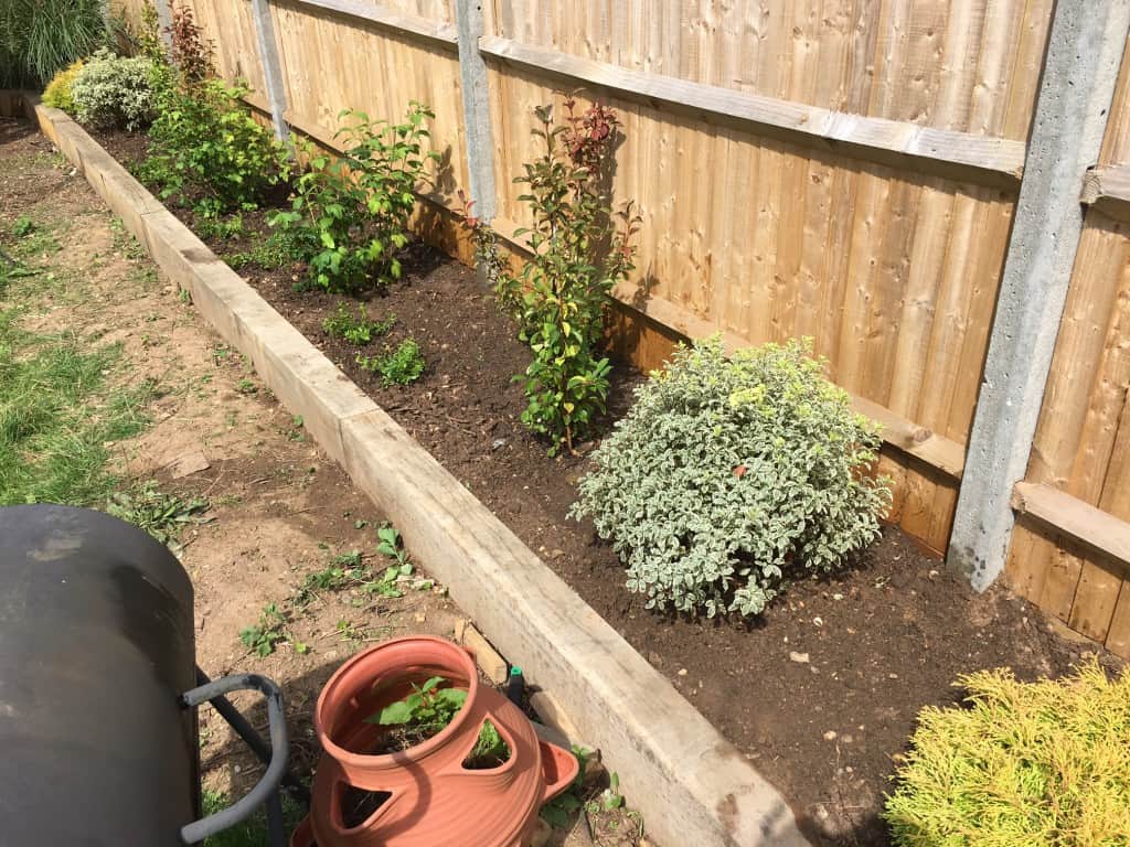 Gallery - TIDY GARDENS
