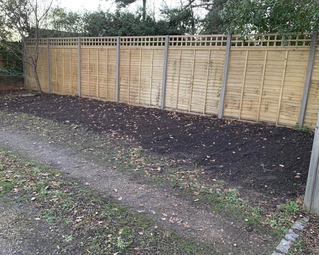 Garden planting. Advise and execution - TIDY GARDENS