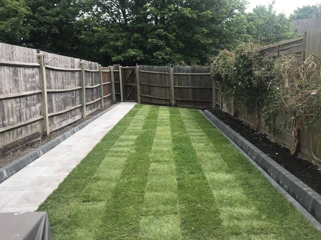 Year round garden maintenance - TIDY GARDENS