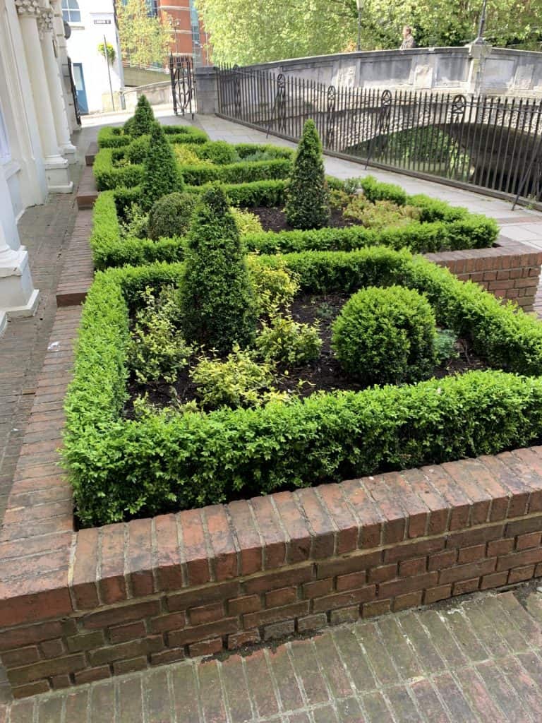 Commercial - garden maintenance - TIDY GARDENS