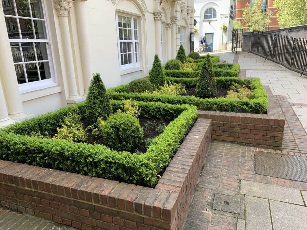 Commercial - garden maintenance - TIDY GARDENS