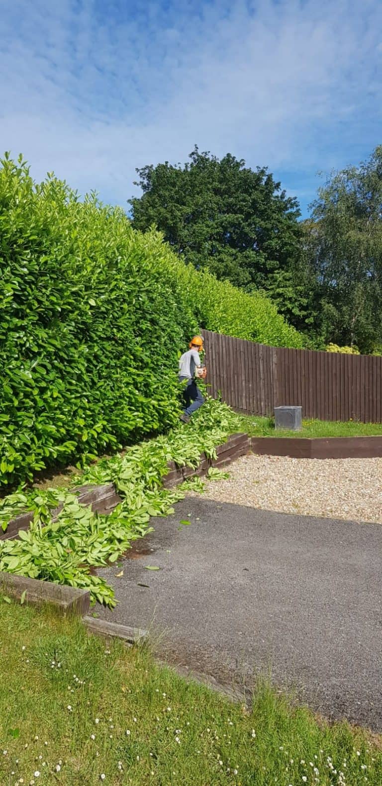 Year round garden maintenance - TIDY GARDENS