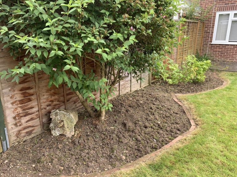 One-off professional garden tidy ups - Tidy Gardens