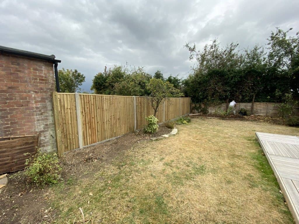 Year round garden maintenance - TIDY GARDENS