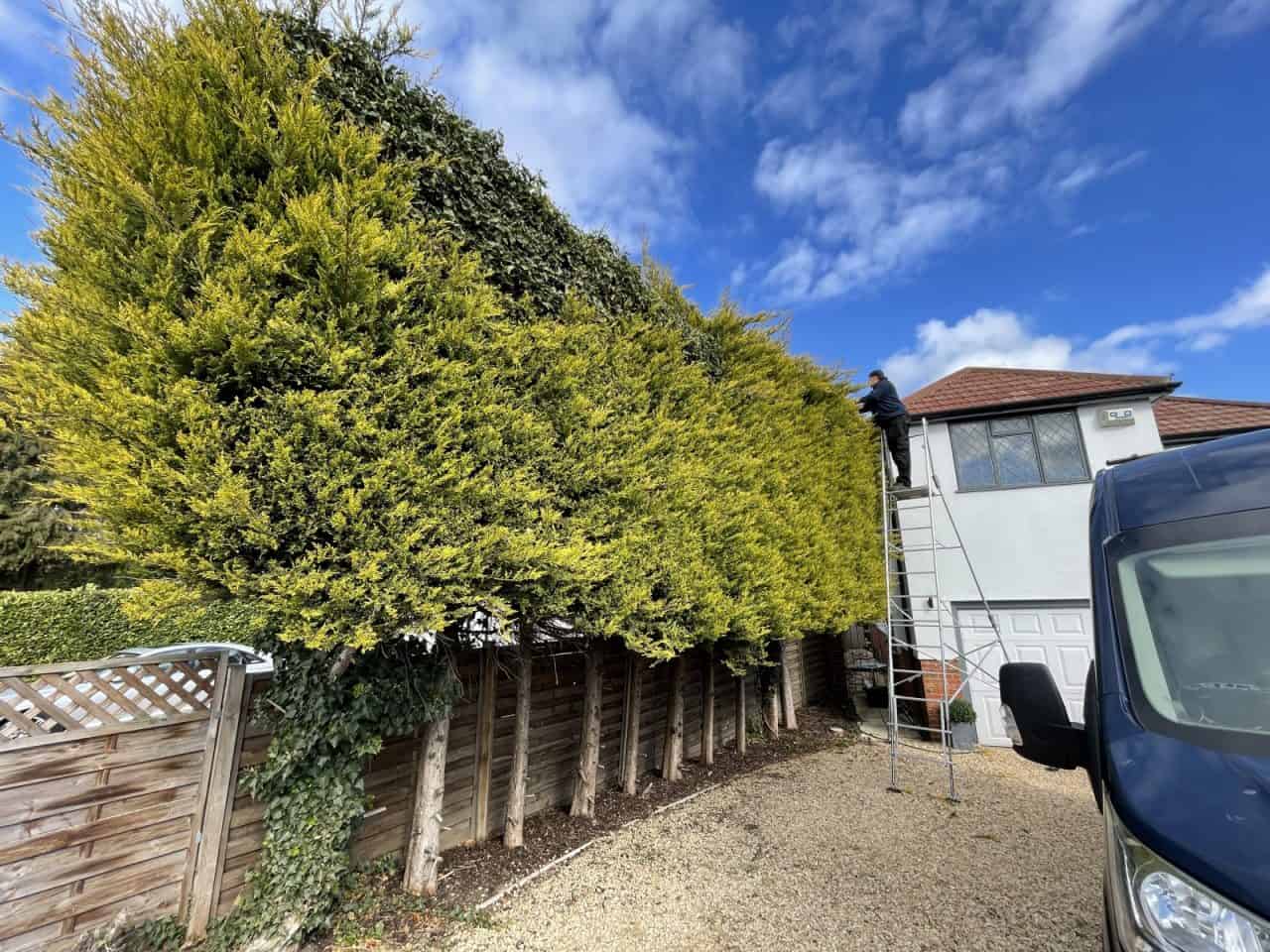 Tidy Gardens - gardening and landscaping company.Quality garden service